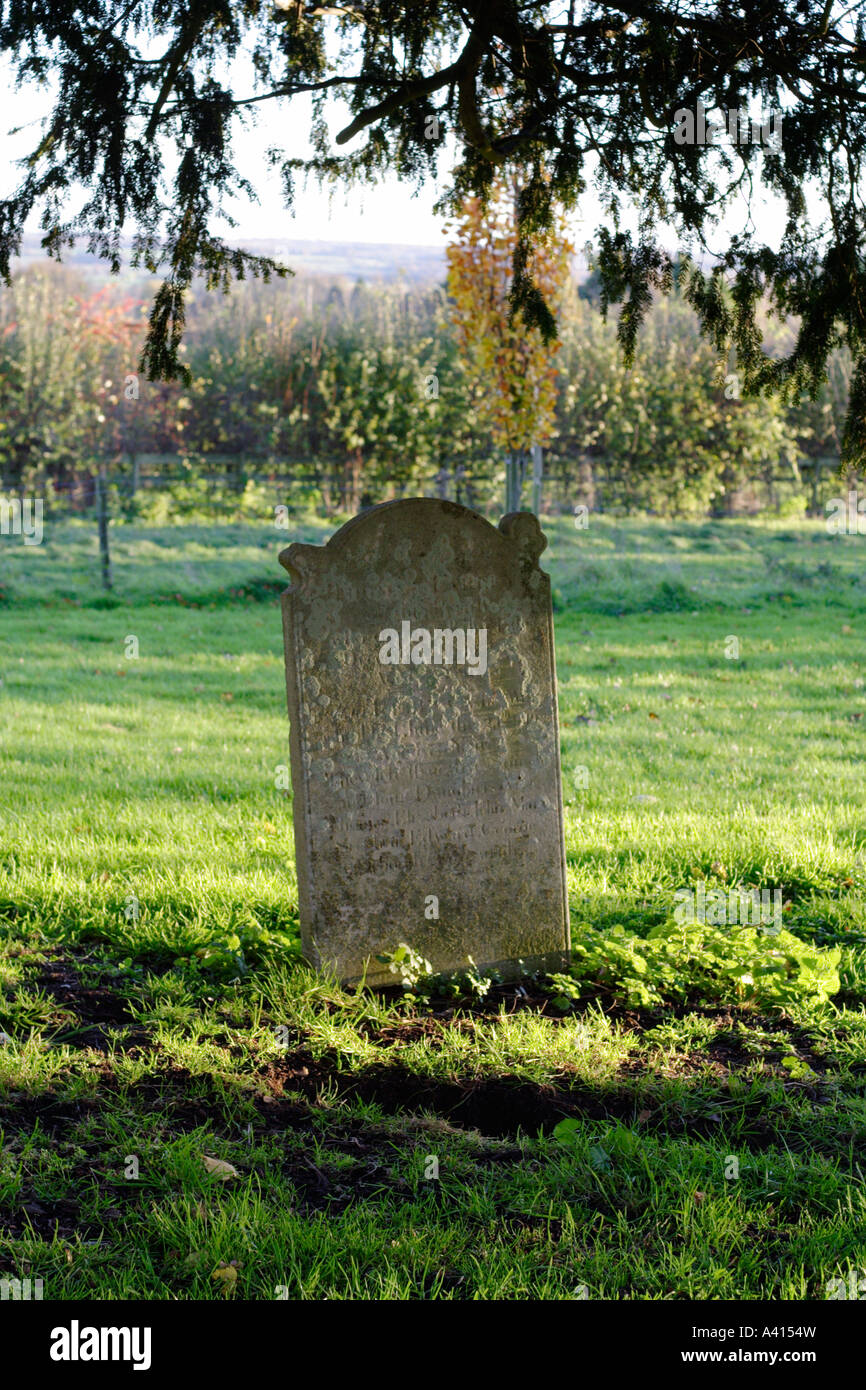 A single gravestone in the gentle late afternoon light with tree ...
