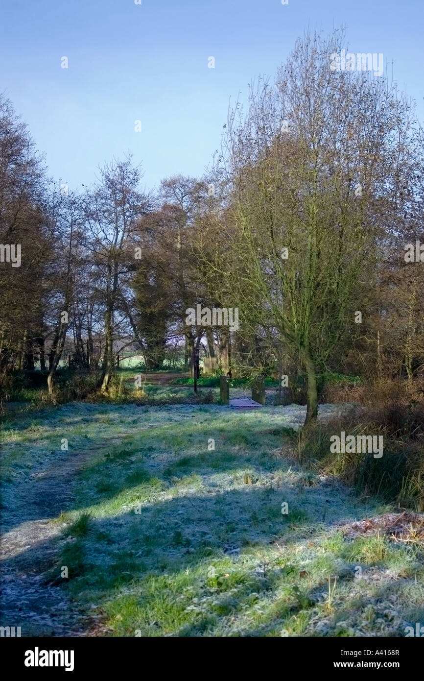 early morning frost Stock Photo - Alamy