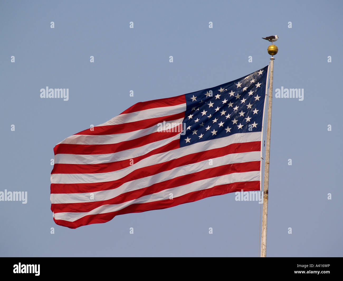 The Flag of the United States of America flying over Ellis Island New ...