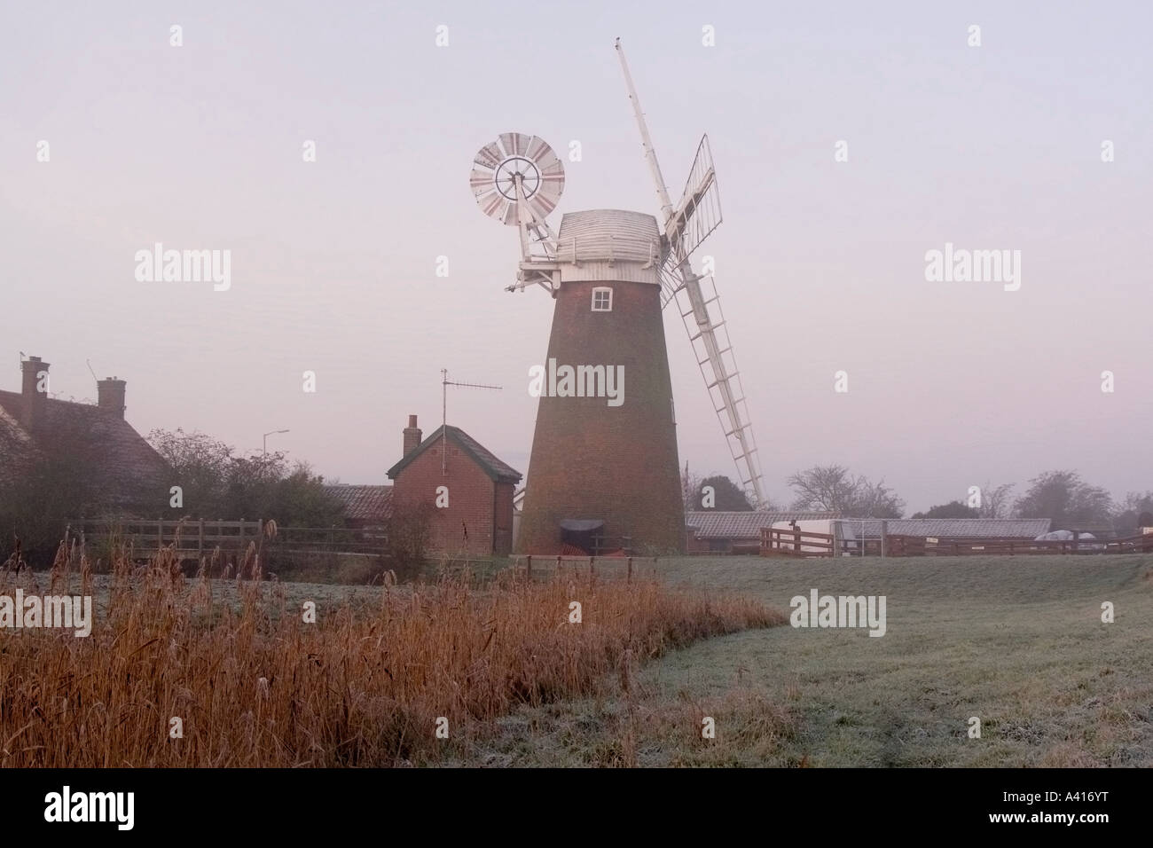 Stacey Arms High Resolution Stock Photography and Images - Alamy