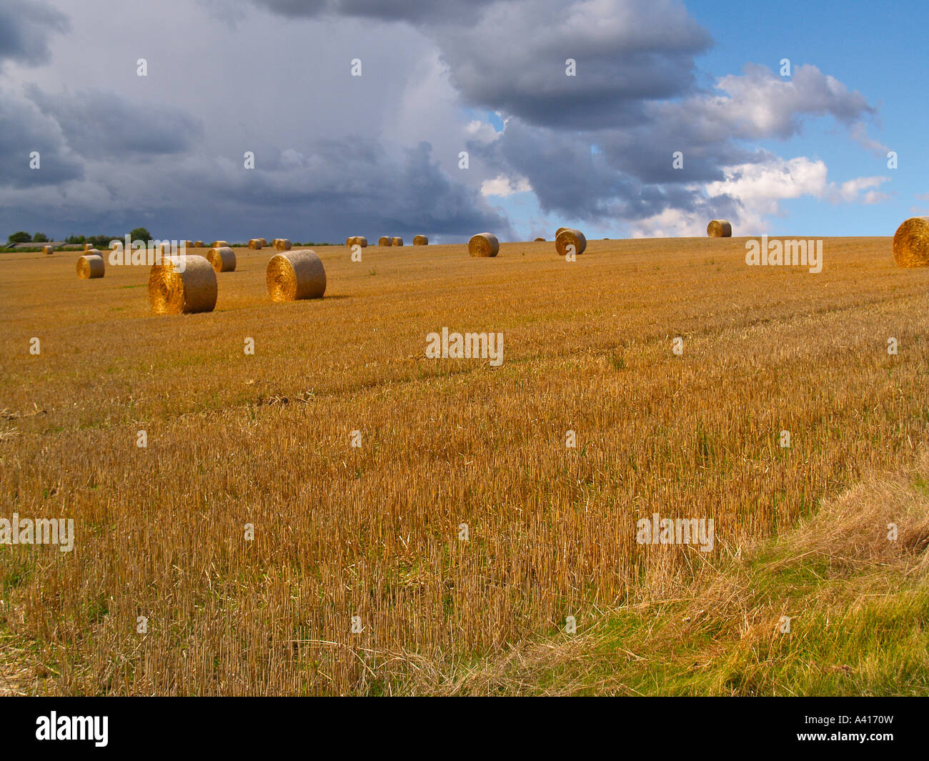 Hay field above the Darent Valley Kent Travel Stock Photo - Alamy
