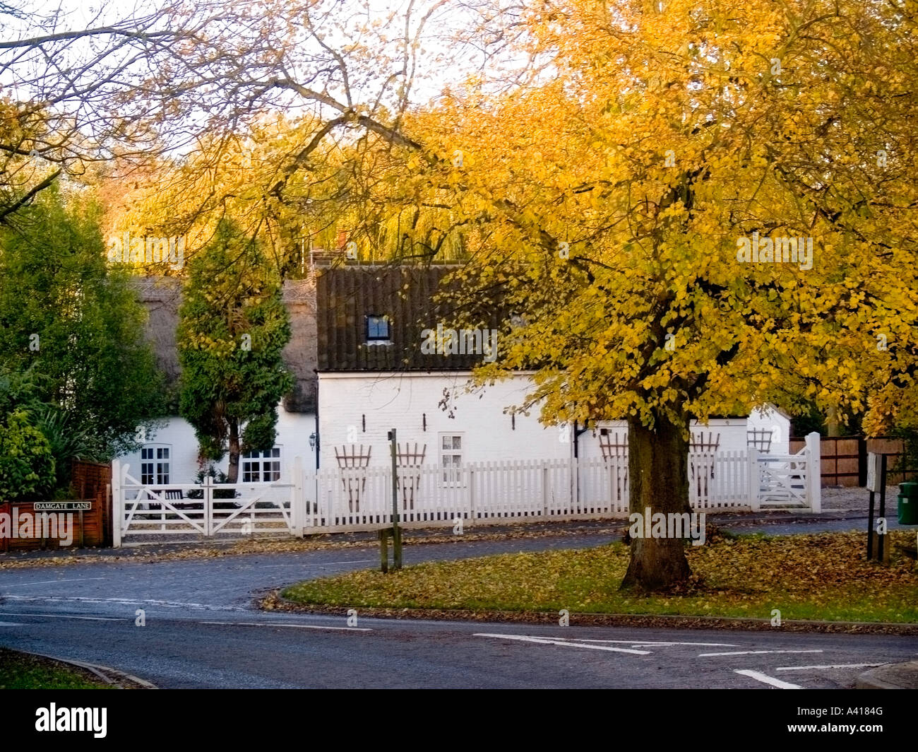 autumn gold 2 Stock Photo - Alamy