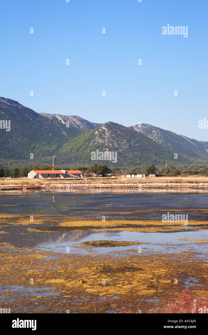 Salt Fields in Ston on the Peljesac Peninsula, Croatia Stock Photo - Alamy