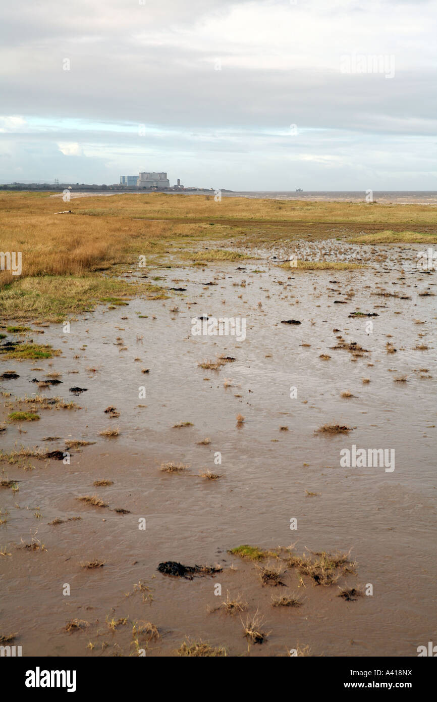 Steart hi-res stock photography and images - Alamy
