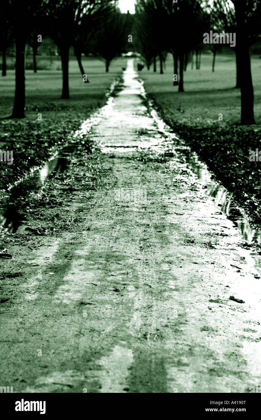 eerie park path Stock Photo - Alamy
