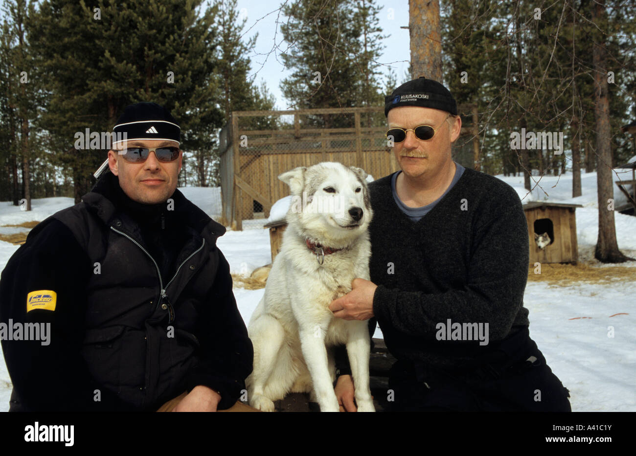 Huskies and their handlers in Swedish Lapland Sweden Stock Photo - Alamy