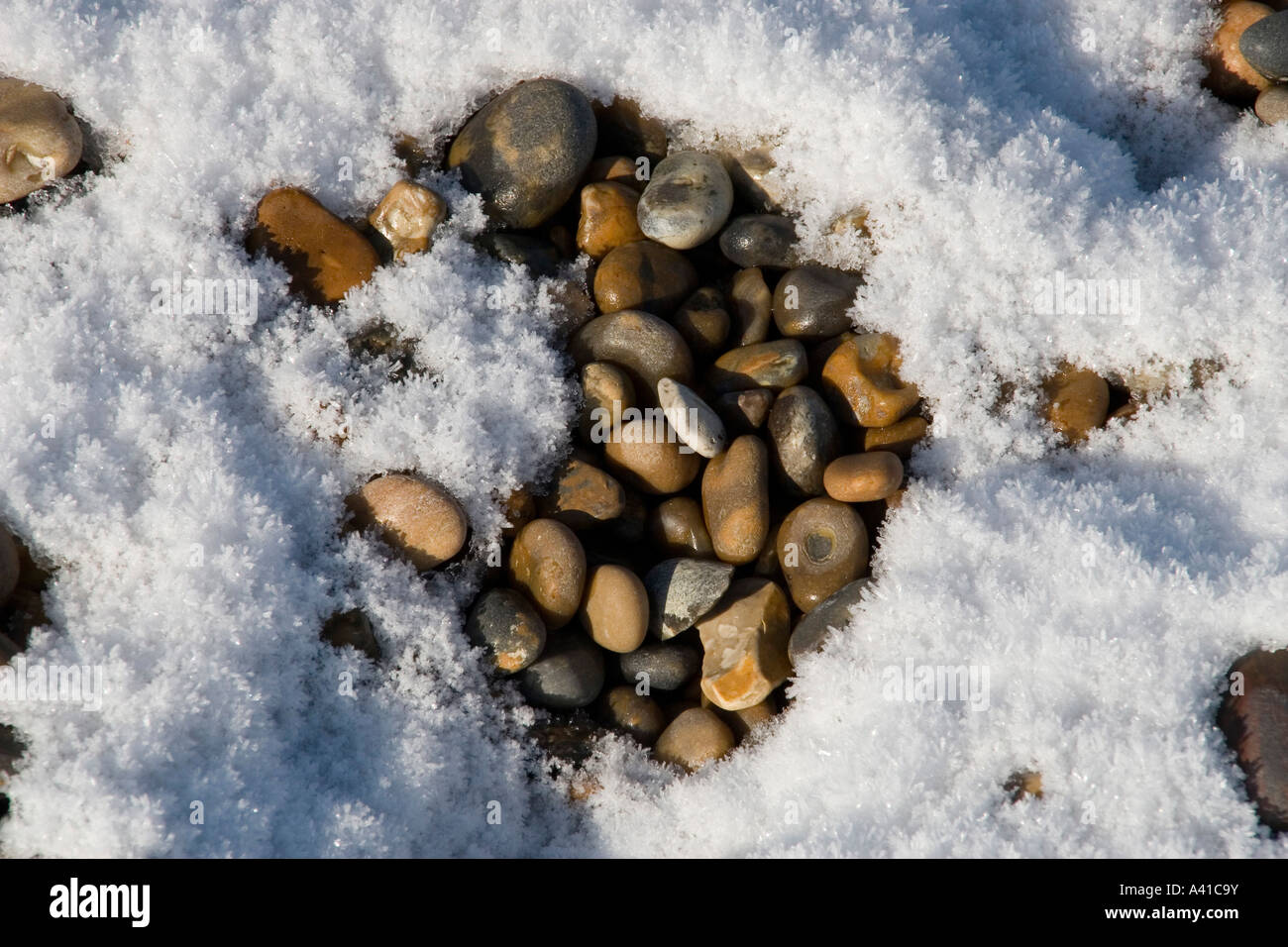 Snow covered pebbles Stock Photo - Alamy