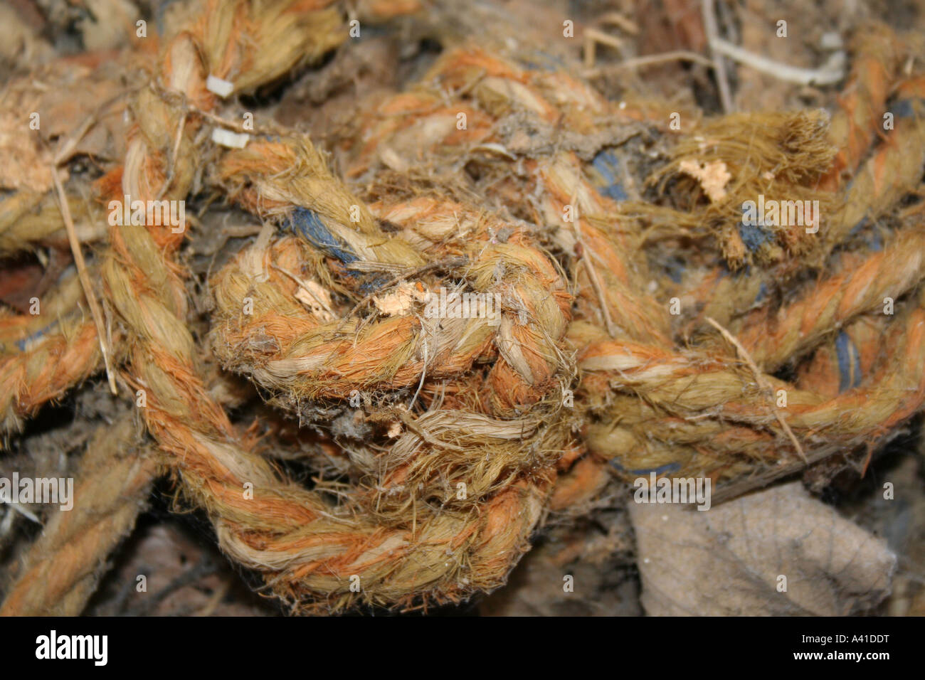 Knots in thread hi-res stock photography and images - Alamy