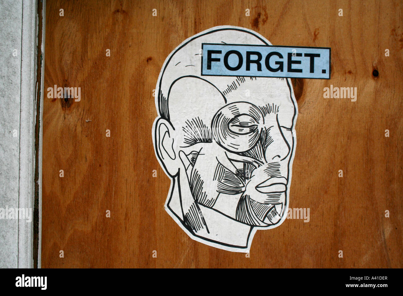 Muscle tissue culture hi-res stock photography and images - Alamy