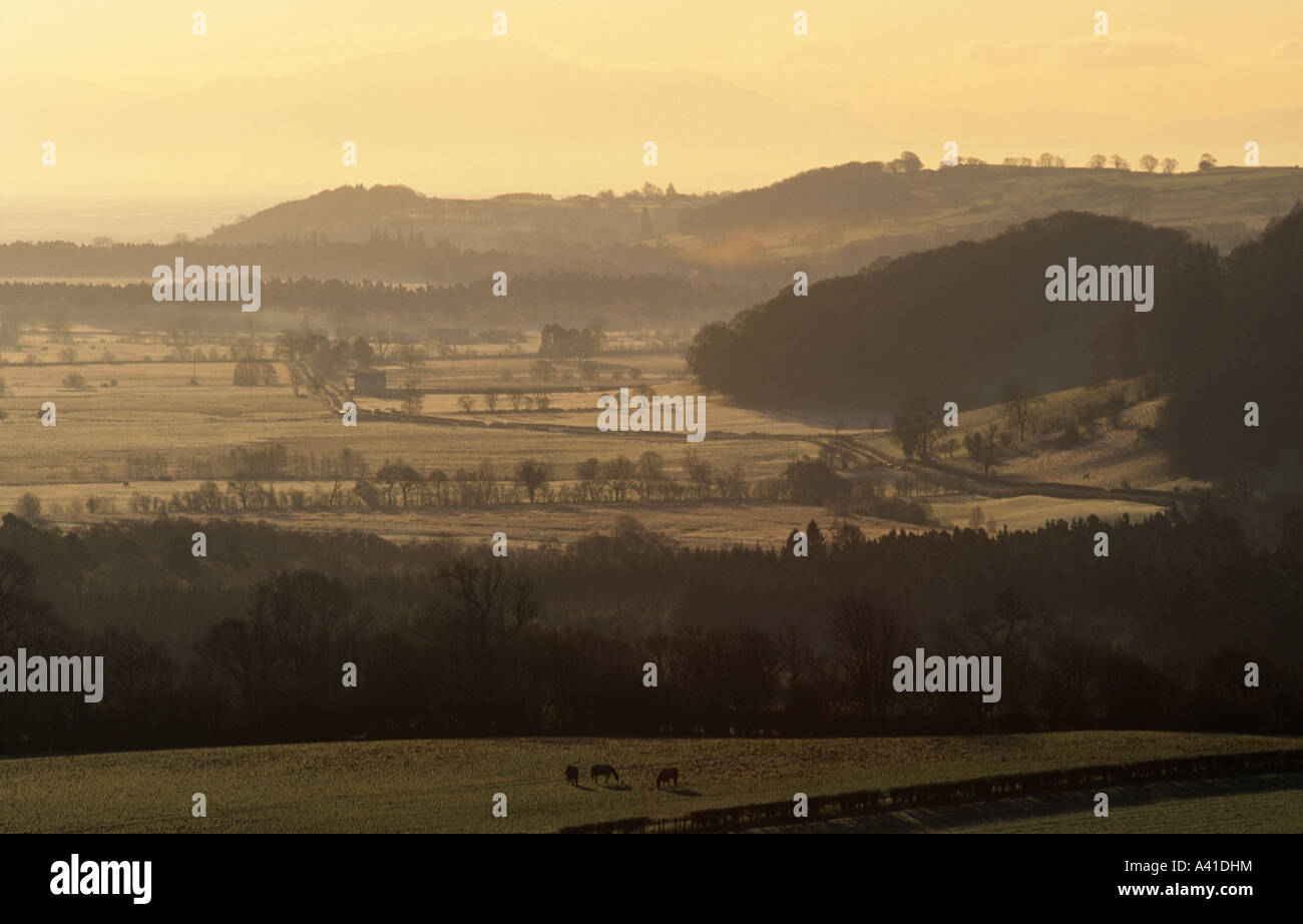 A misty frosty winter sunrise looking across the Nith Estuary National ...