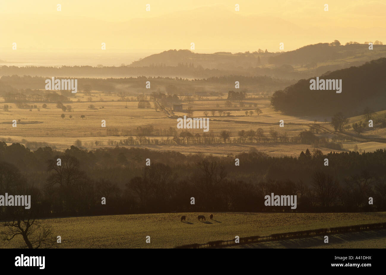 Nith estuary national scenic area hi-res stock photography and images ...