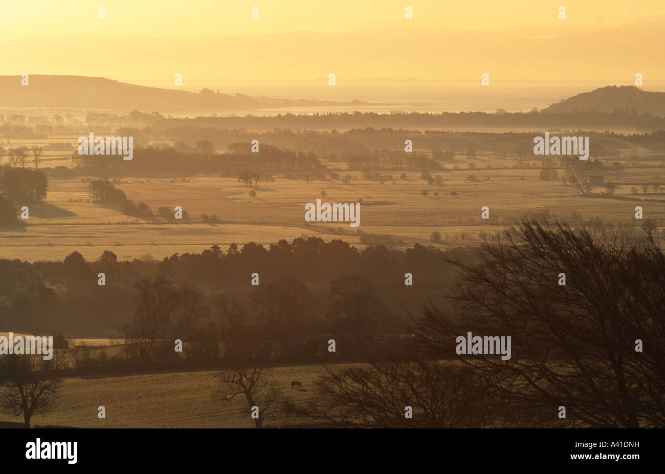 Nith estuary national scenic area hi-res stock photography and images ...