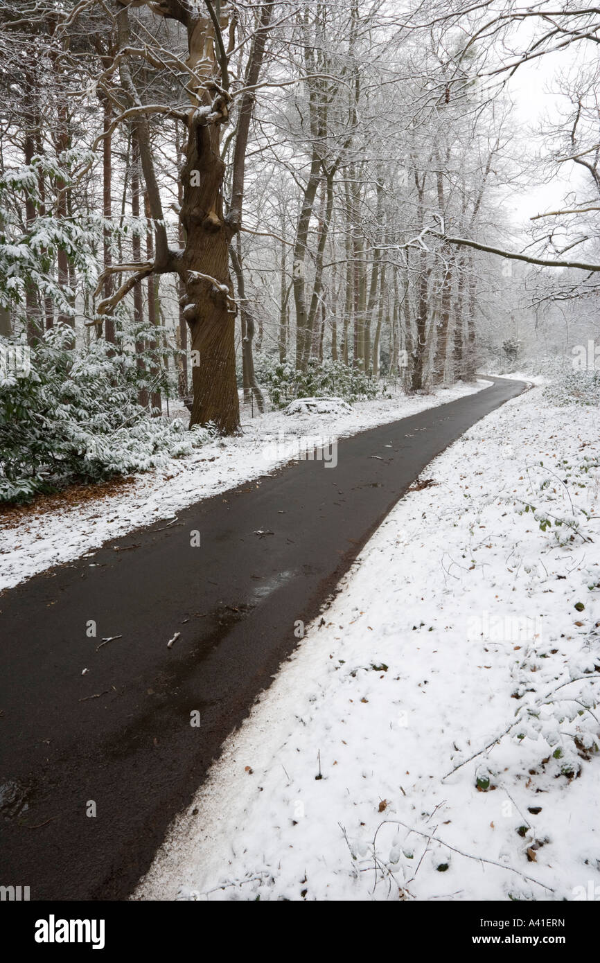 Chobham road hi-res stock photography and images - Alamy