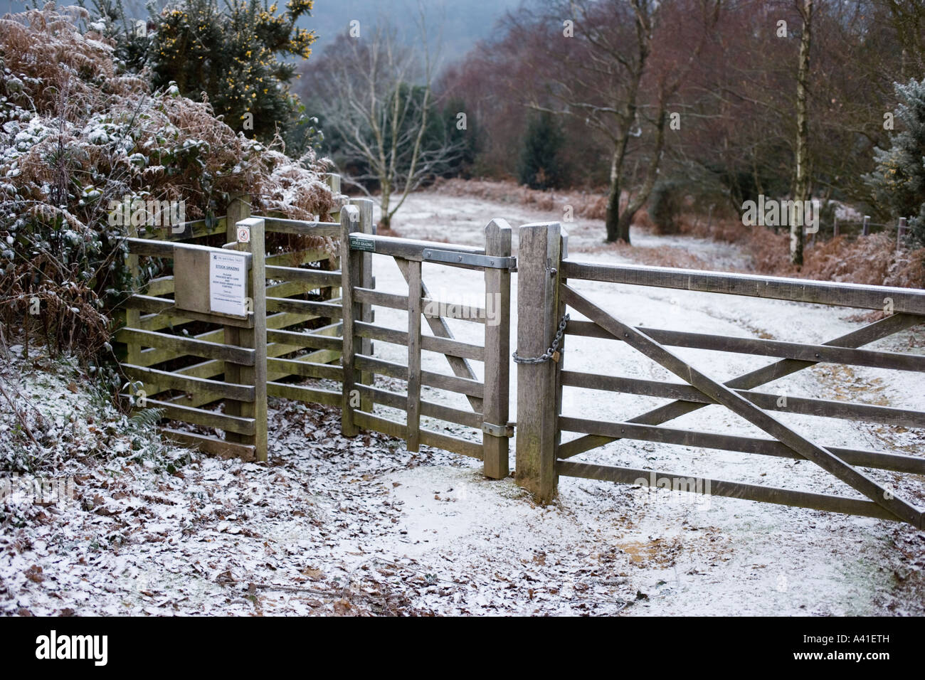 Wooden gates in winter on Hindhead common Stock Photo - Alamy