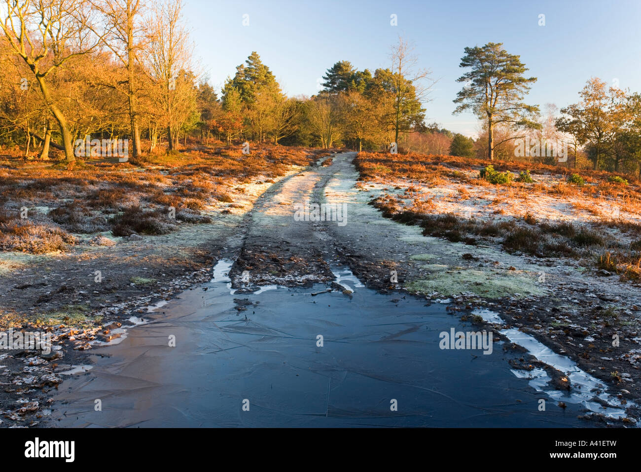 A frozen puddle on a beautiful winter morning Stock Photo - Alamy