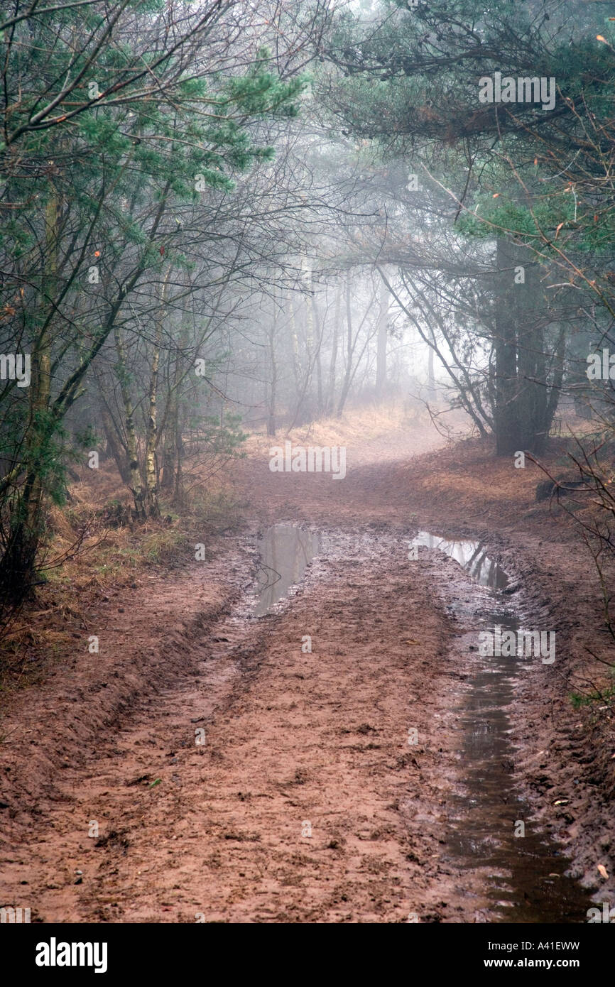 Chobham common hi-res stock photography and images - Alamy