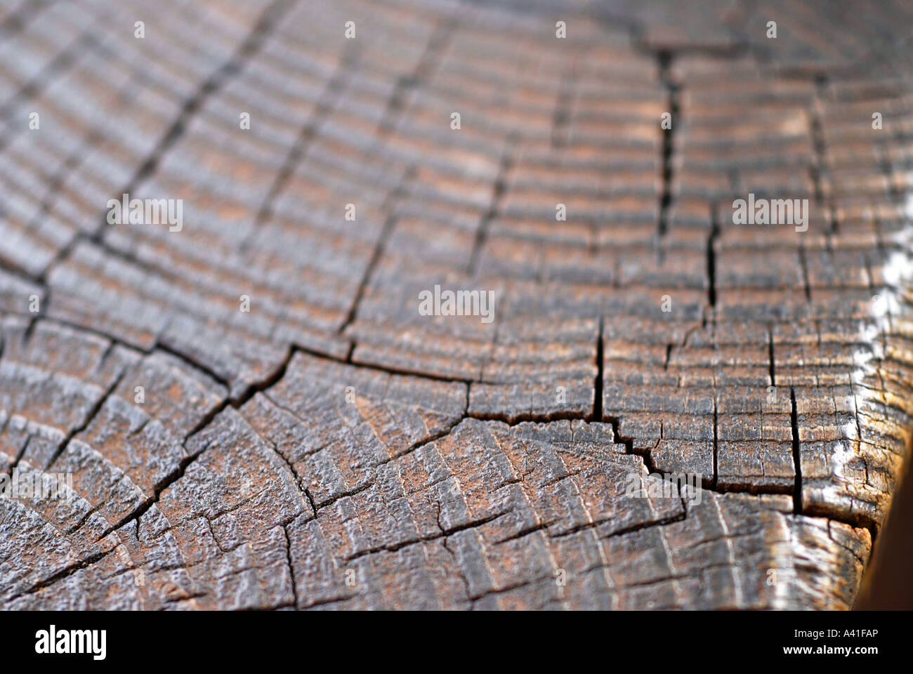 Wood made cross hi-res stock photography and images - Alamy