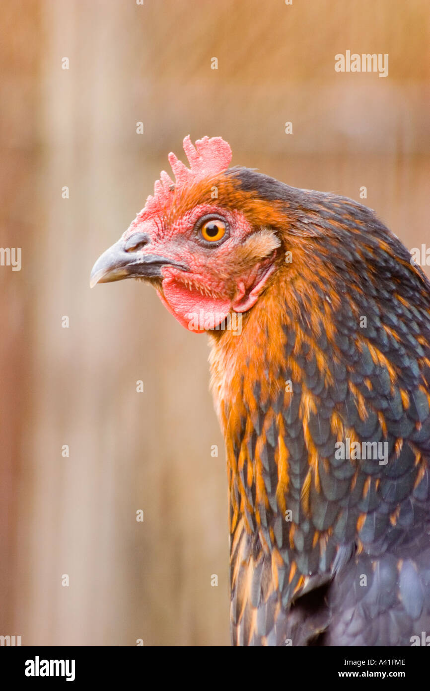 Peter holding head hi-res stock photography and images - Alamy