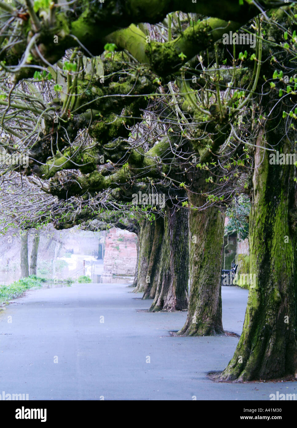 Riverside trees worcester hi-res stock photography and images - Alamy
