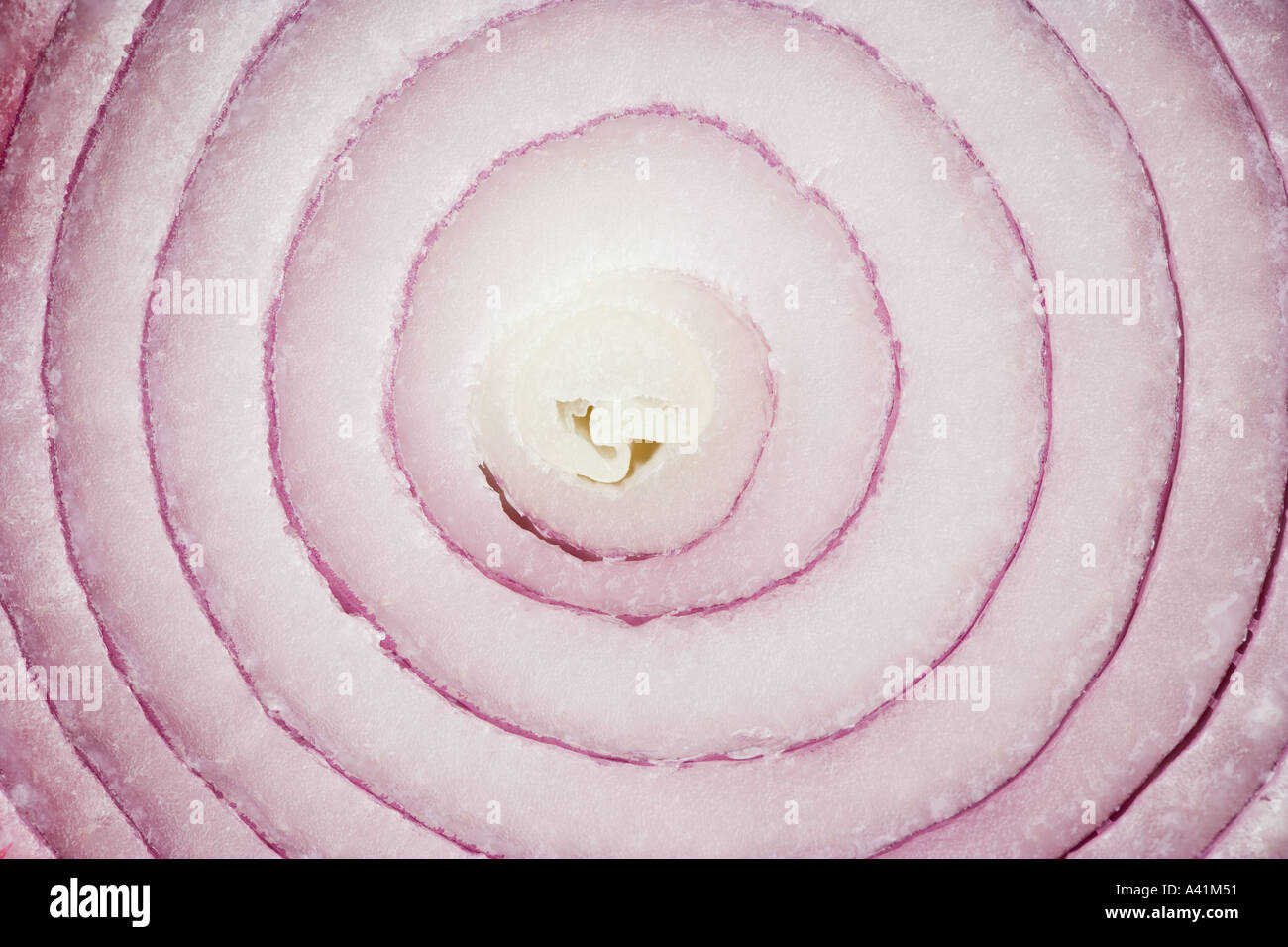 Onion layers rings hi-res stock photography and images - Alamy