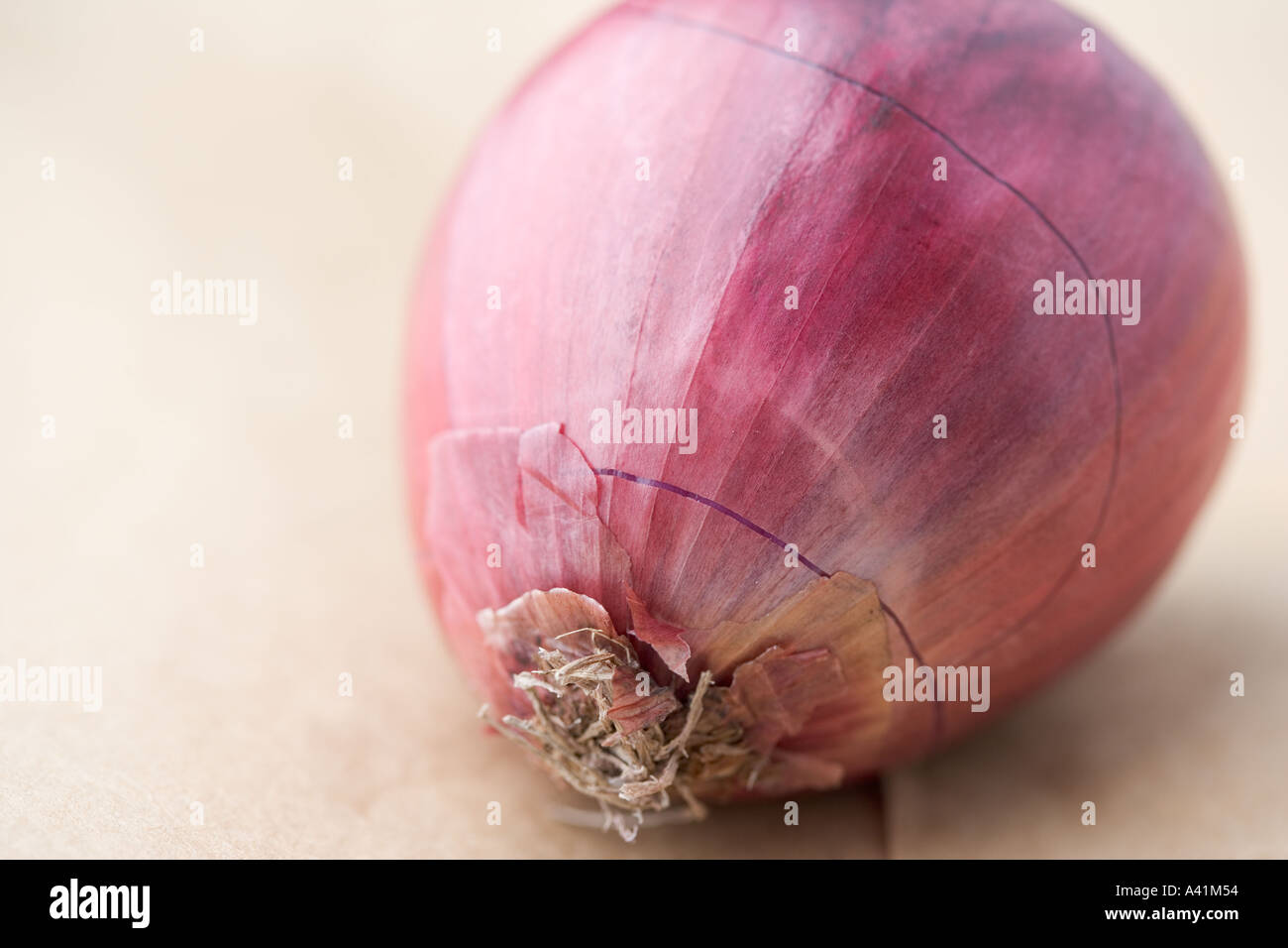 Still life of a red onion Stock Photo - Alamy