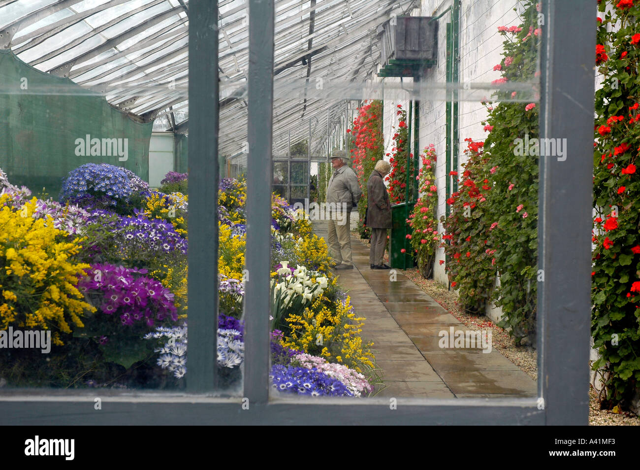 Open greenhouse with members of the public viewing featured displays of ...