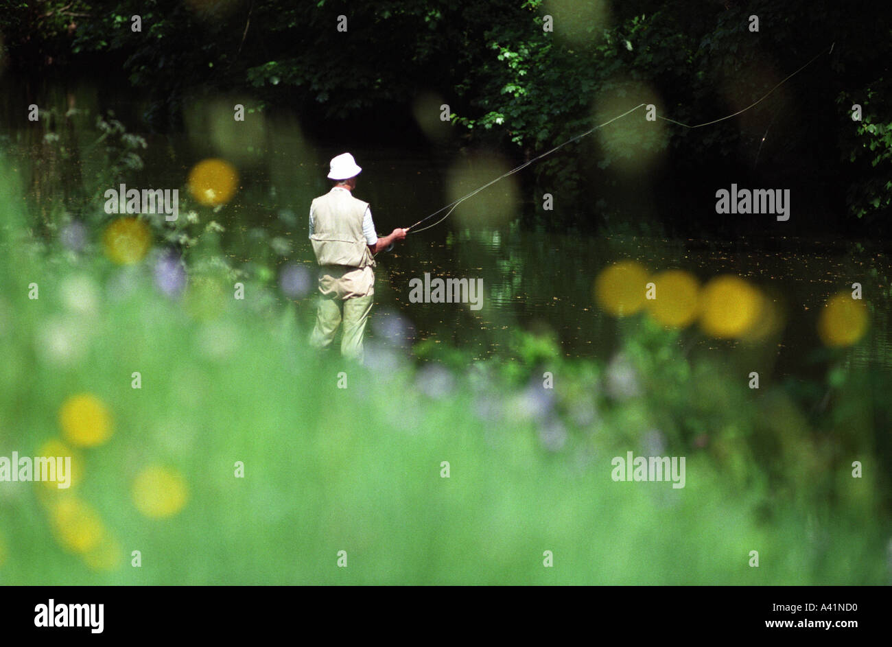 Lifton devon hi-res stock photography and images - Alamy