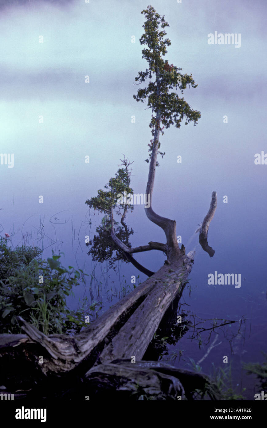 Isle royale national park hi-res stock photography and images - Alamy