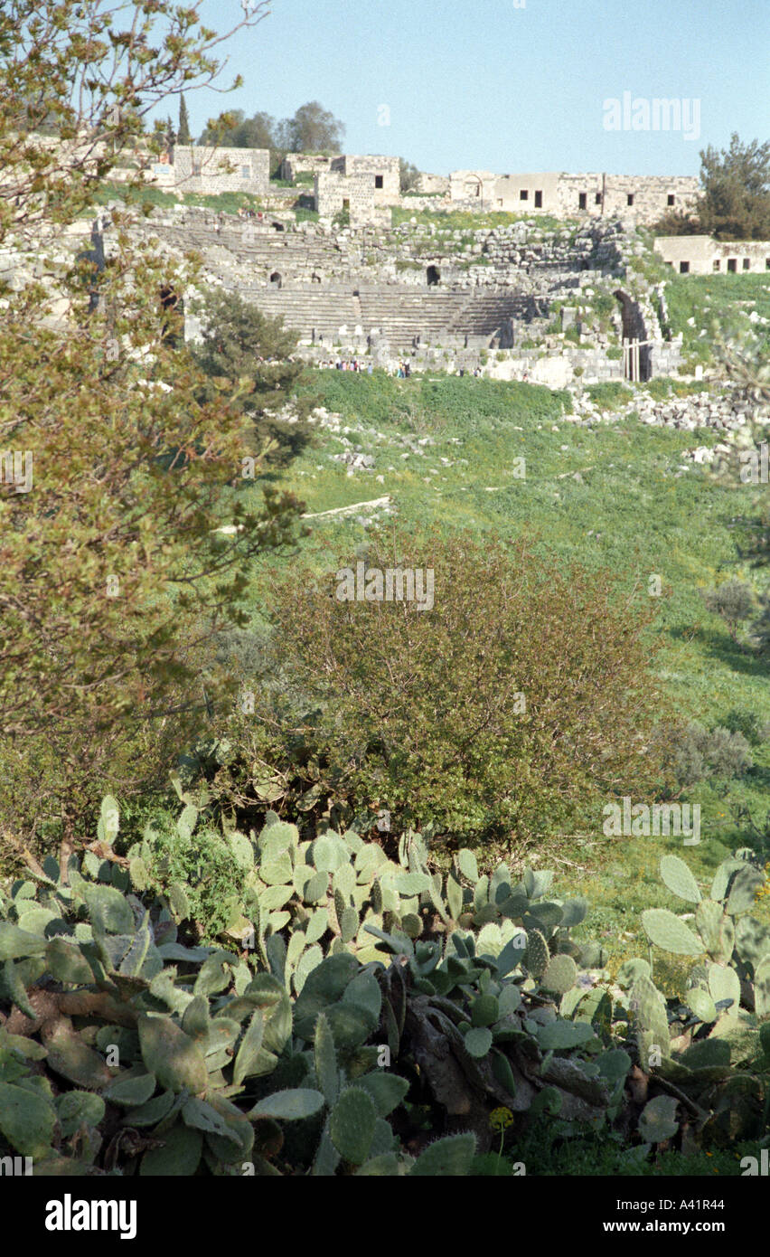 View through vegetation of the West Theatre Umm Qays Jordan Stock Photo ...