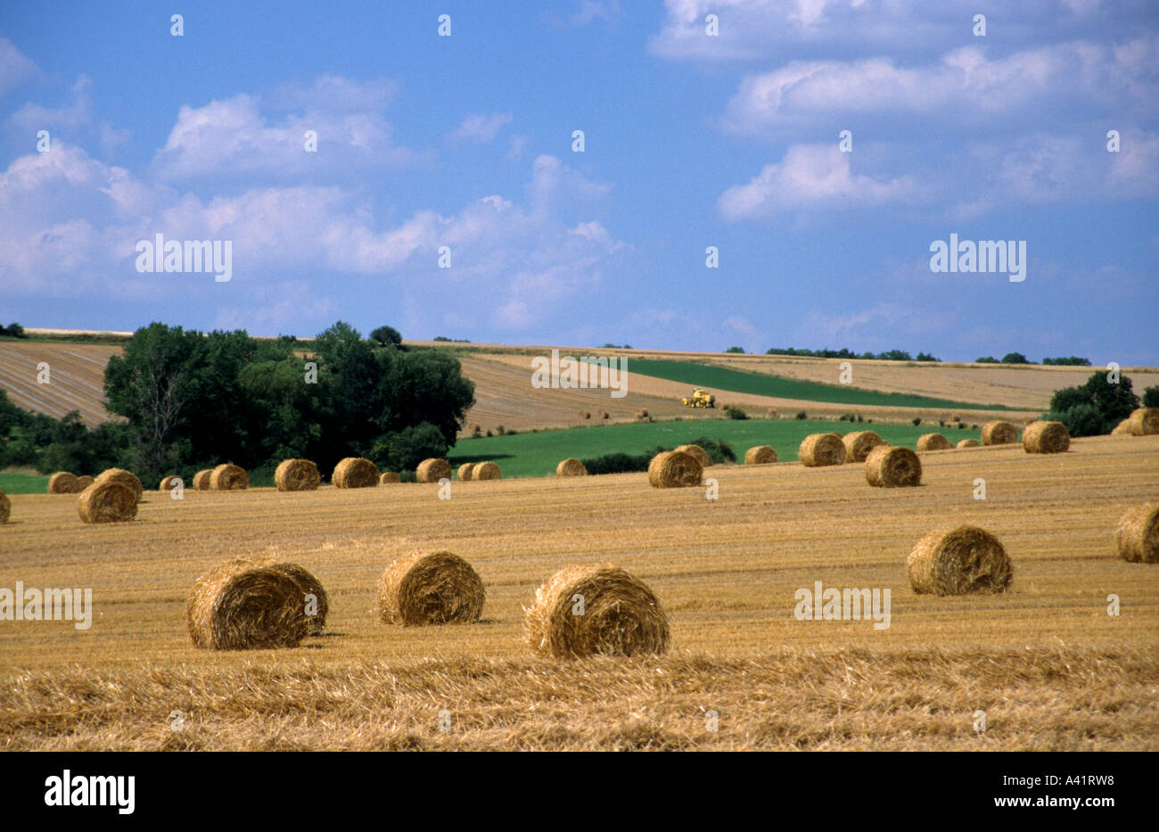haystack hayrick France French farming farmer agriculture field Stock ...