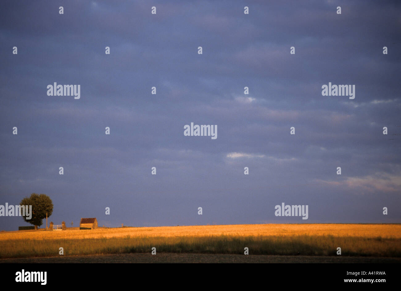 French agricultural worker hi-res stock photography and images - Alamy