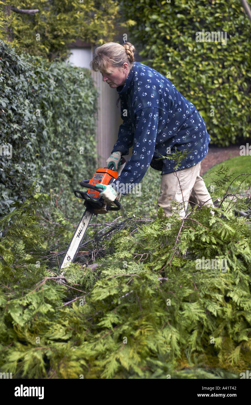 Woman using chainsaw to cut up tree limbs on ground in residential yard ...