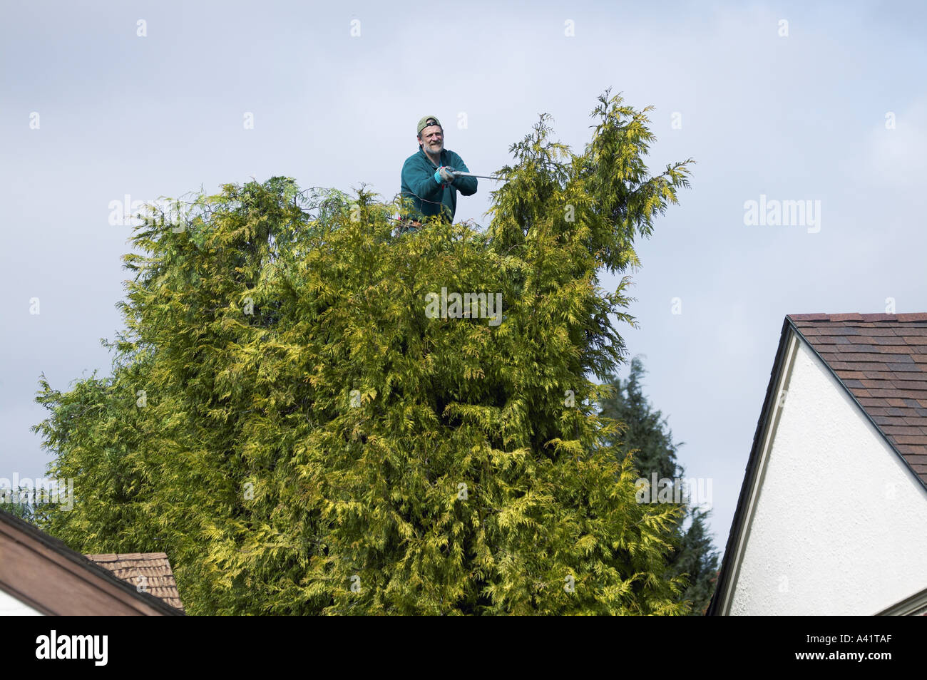 Working on a cedar roof hi-res stock photography and images - Alamy