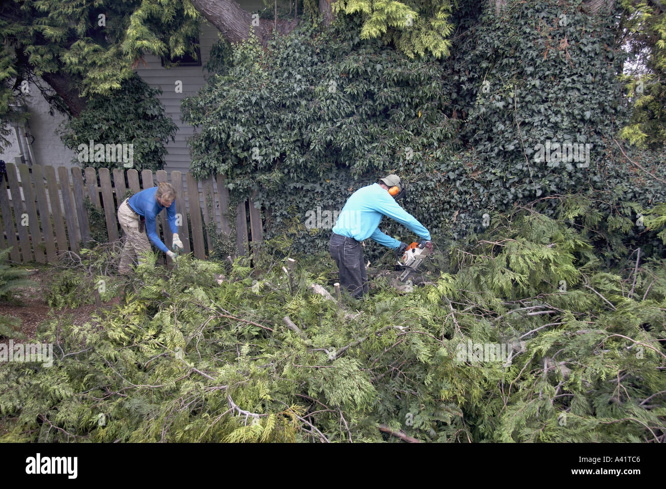 Man and woman cleaning up downed tree limbs in residential backyard ...