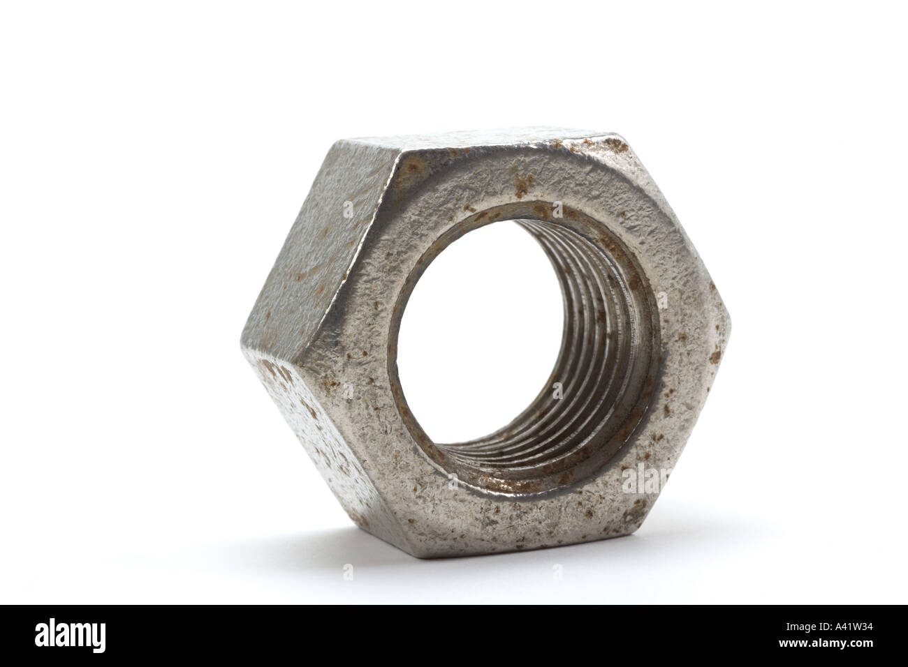 Large nut on white Stock Photo - Alamy