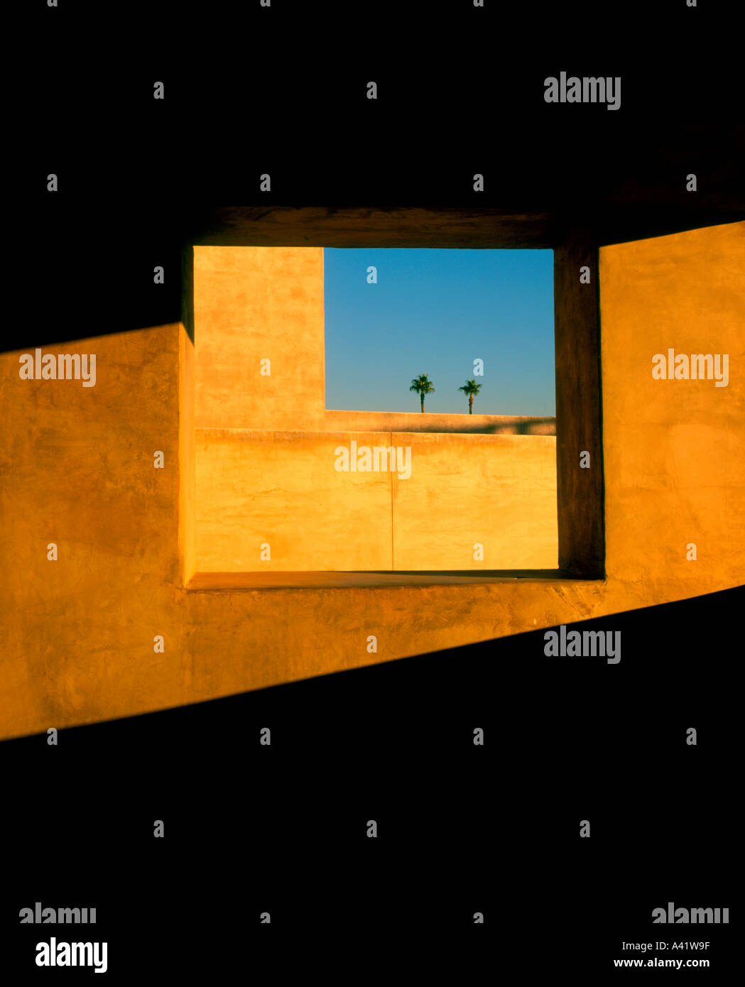 Palm Trees through building windows Tempe Arizona U S A Stock Photo - Alamy