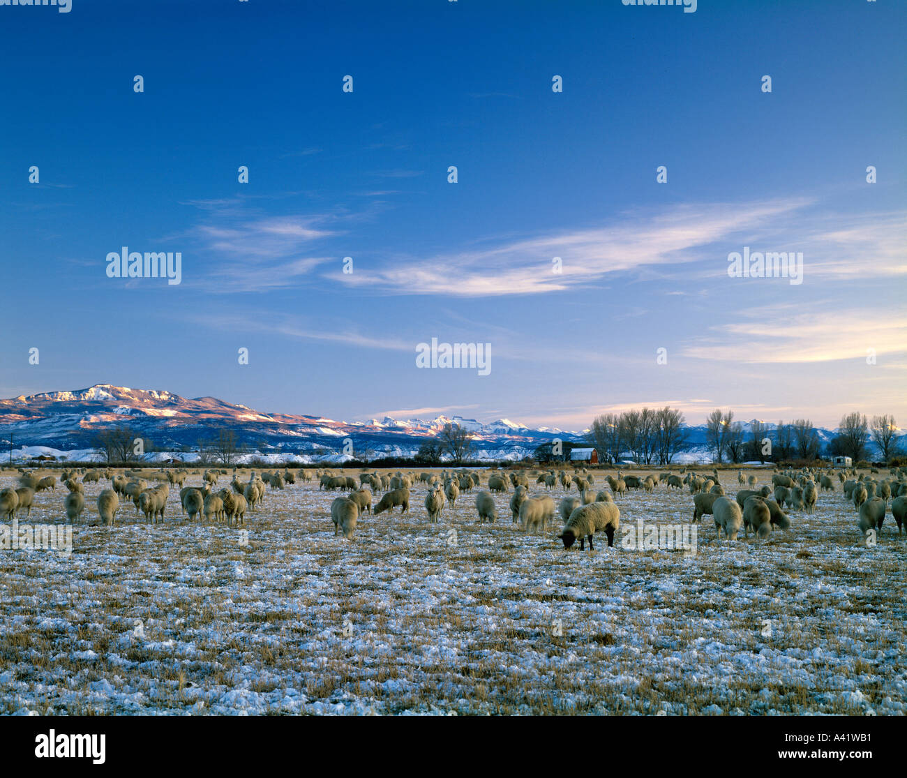 Colorado ranchers hi-res stock photography and images - Alamy