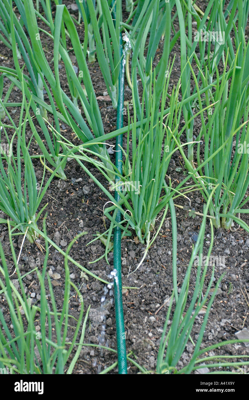 Raised pipe hi-res stock photography and images - Alamy