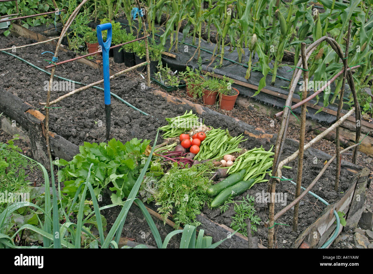 Early september hi-res stock photography and images - Alamy