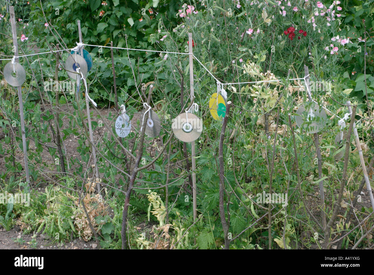 Bird Scarer Garden High Resolution Stock Photography and Images - Alamy