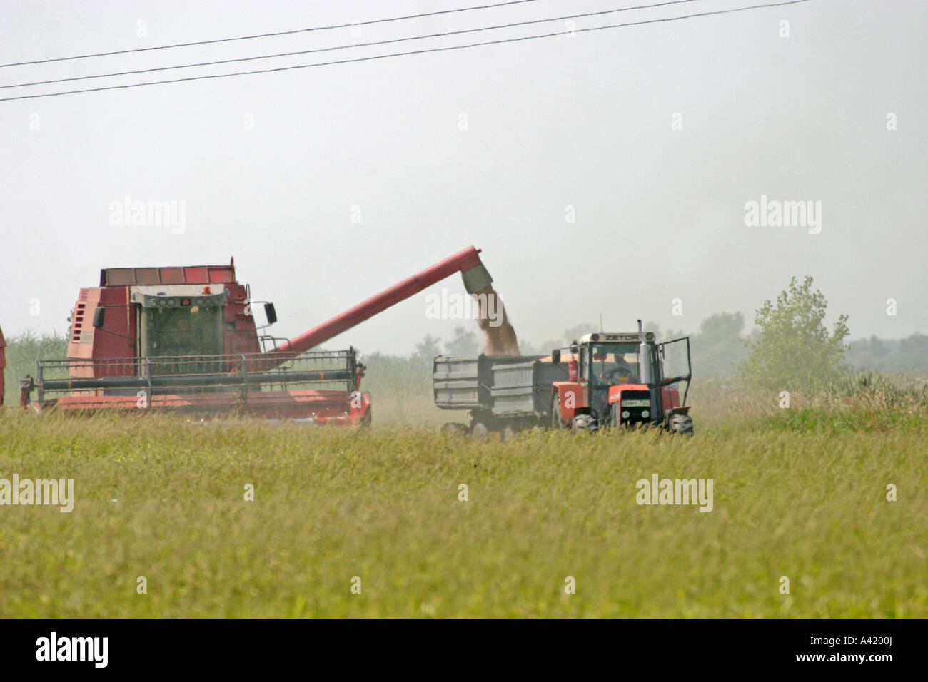 Hungary farming hi-res stock photography and images - Alamy