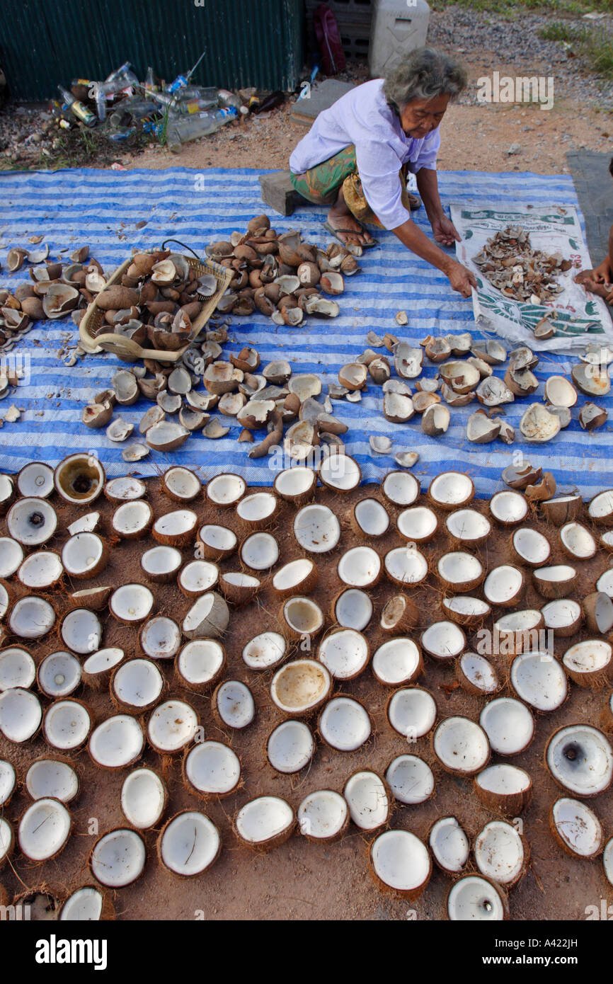 Drying copra hi-res stock photography and images - Alamy