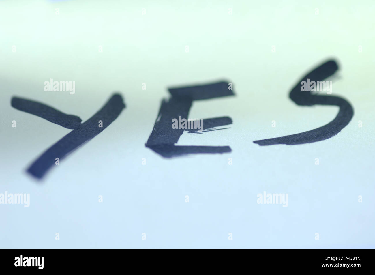 Yes label hi-res stock photography and images - Alamy