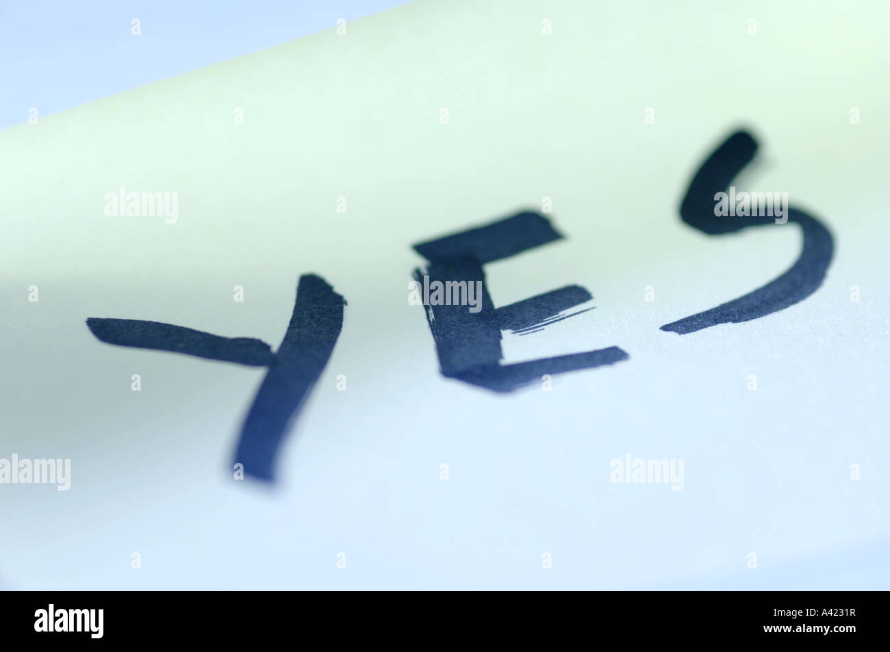 Yes label hi-res stock photography and images - Alamy