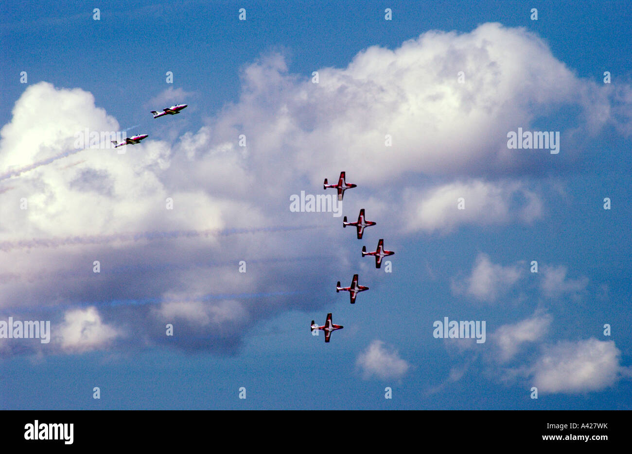 The Canadian Forces Snowbirds air acrobatic team flying in formation ...