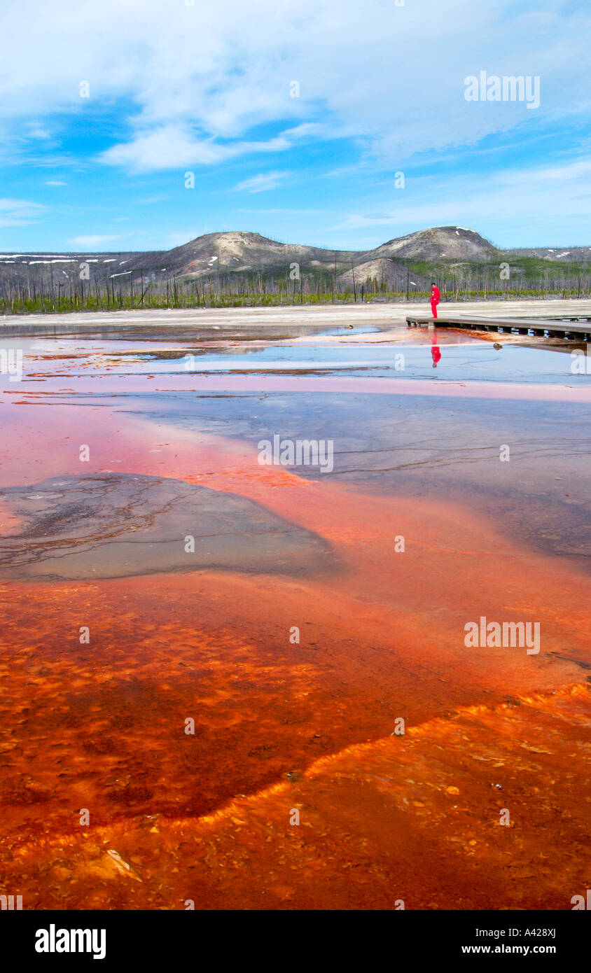 Colorful mineral precipitate in the Black Sand Basin of Yellowstone ...