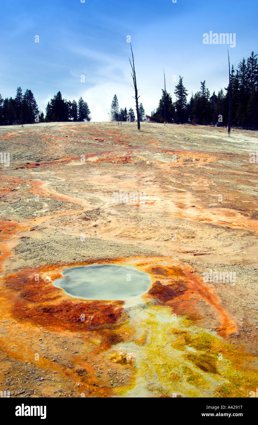 Colorful mineral precipitate in the Black Sand Basin of Yellowstone ...