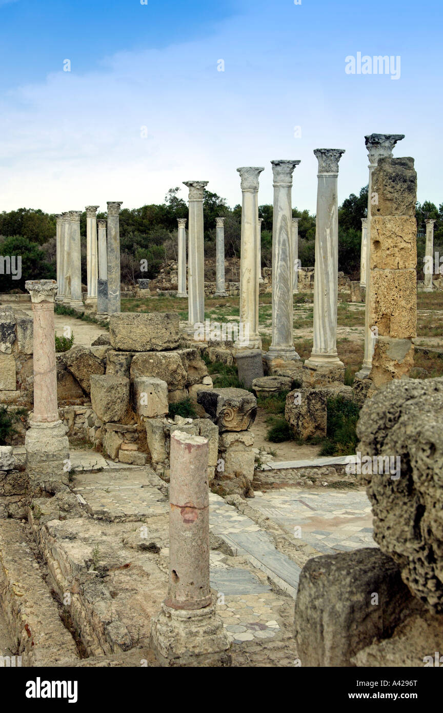 The archeological columns and Roman ruins of ancient Salamis, Cyprus ...