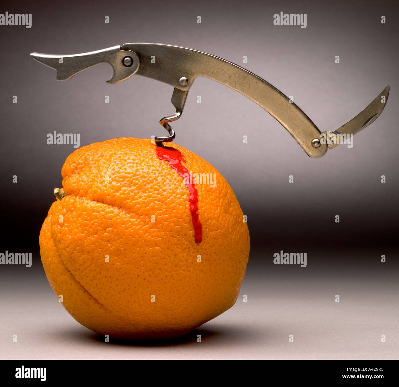 Open Up Your Mind Stock Photo - Alamy