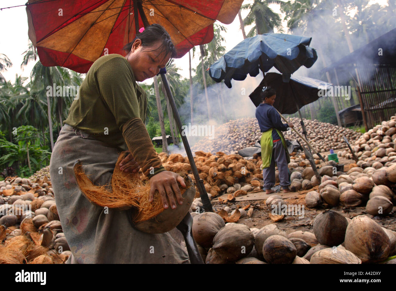 Dehusk hi-res stock photography and images - Alamy